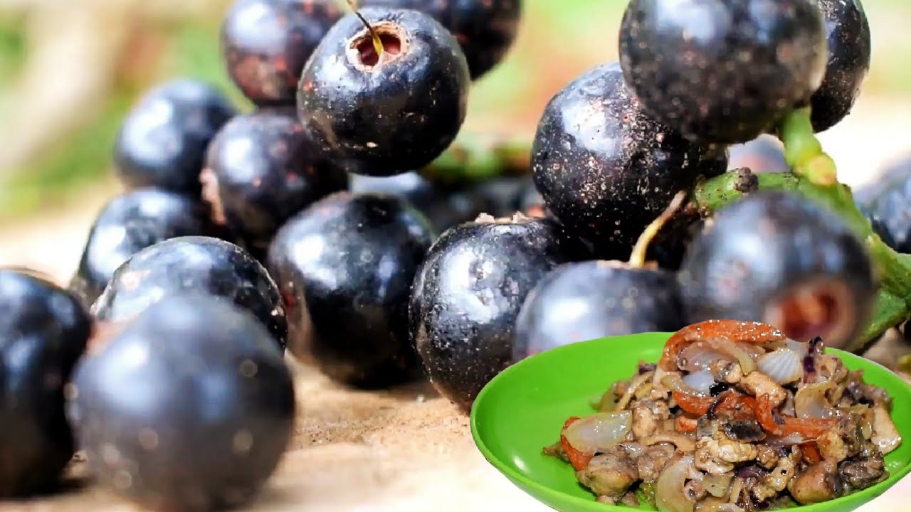 Manok na may duhat at buko sa niluluto na ulam. Buhay bukid - YouTube