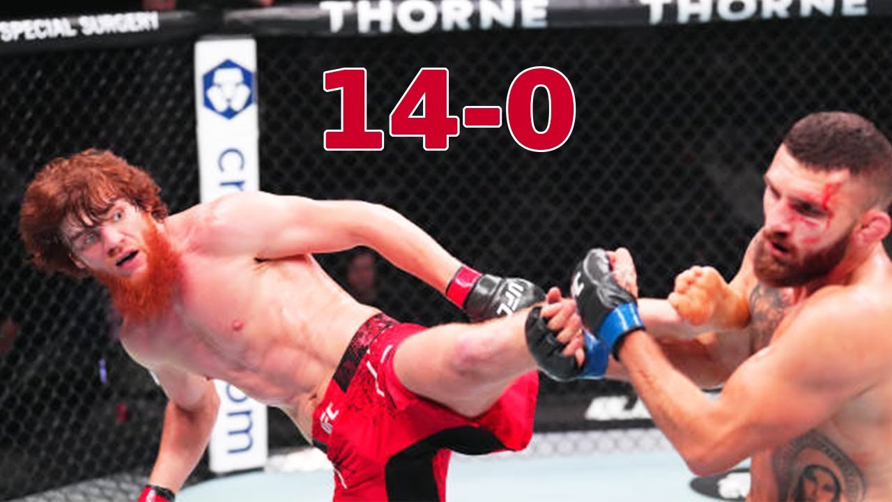 Shara Magomedov vs Michal Oleksiejczuk Full Fight Recap Highlights ...