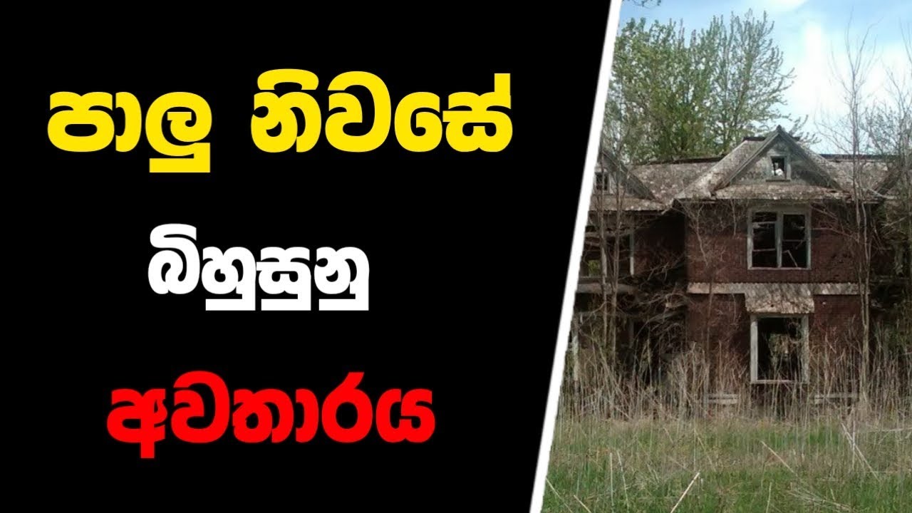 පාලු නිවසේ බිහිසුනු අවතාරය Holman Katha|හොල්මන් කතා 06|Mahasona Ghost ...