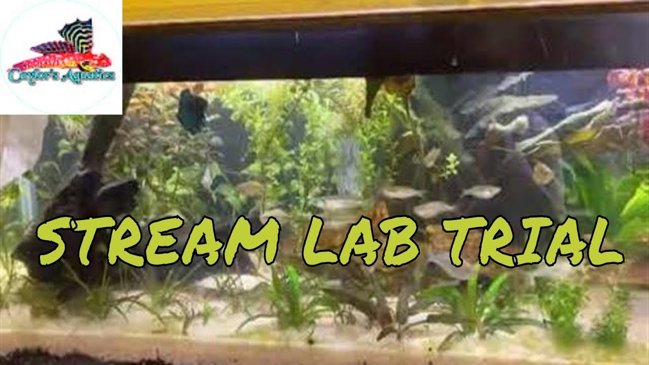 Streamlab app trial - YouTube