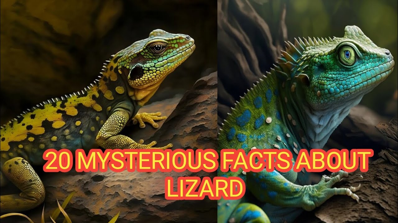 20 MYSTERIOUS FACTS ABOUT LIZARD।। #lizard #facts #mysterious - YouTube