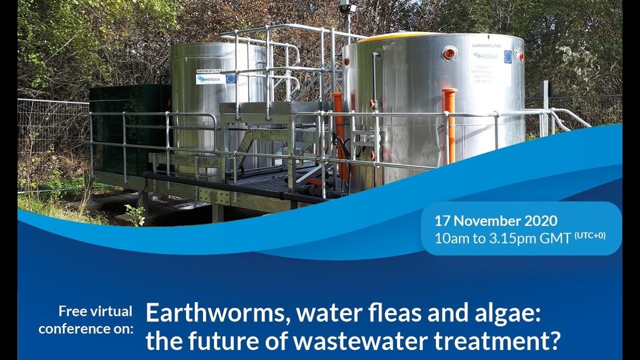 Virtual Conference: Earthworms, water fleas and algae:the future of ...