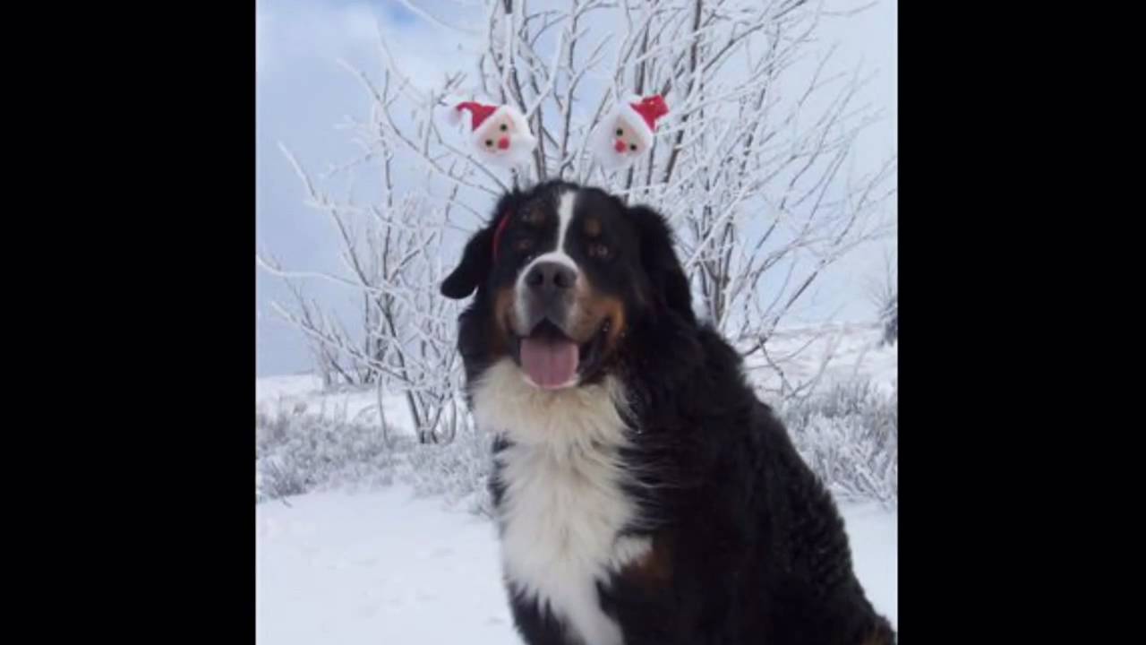 feliz navidad god jul merry christmas.avi - YouTube