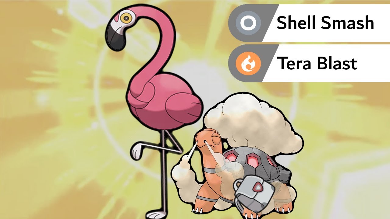 Shell Smash Flamigo has no Answers - YouTube