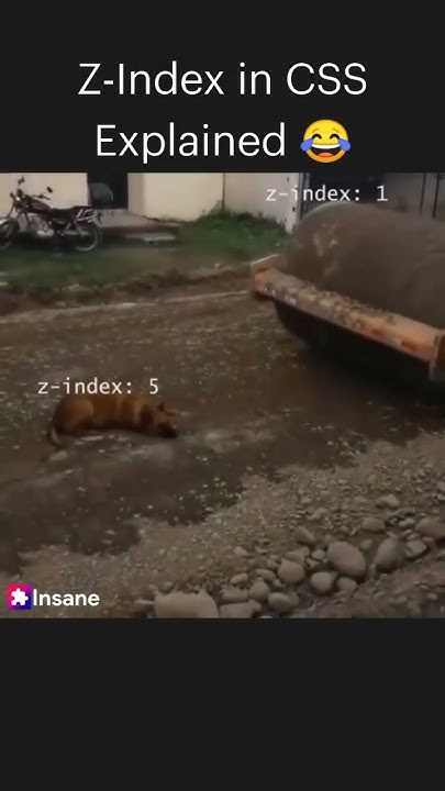 Z Index Css Css Index Programming Ytshorts Coding Viral Shorts Funny Youtube