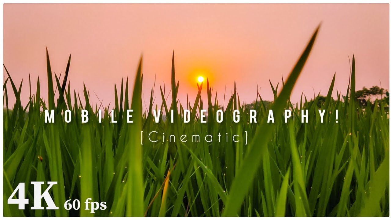 The Art of Mobile Videography: Creating Cinematic Shots with Mobile ...