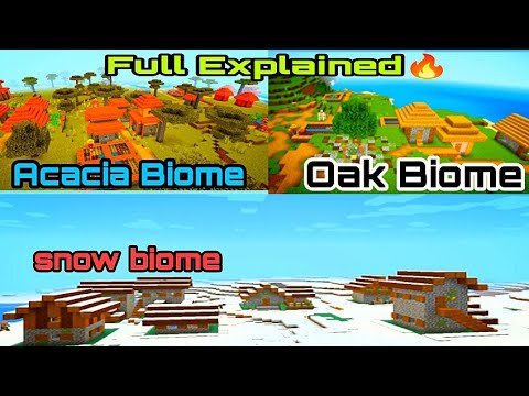 How to Direct a Spawn village with Seed Oak Biome, Acacia Biome,Snow ...