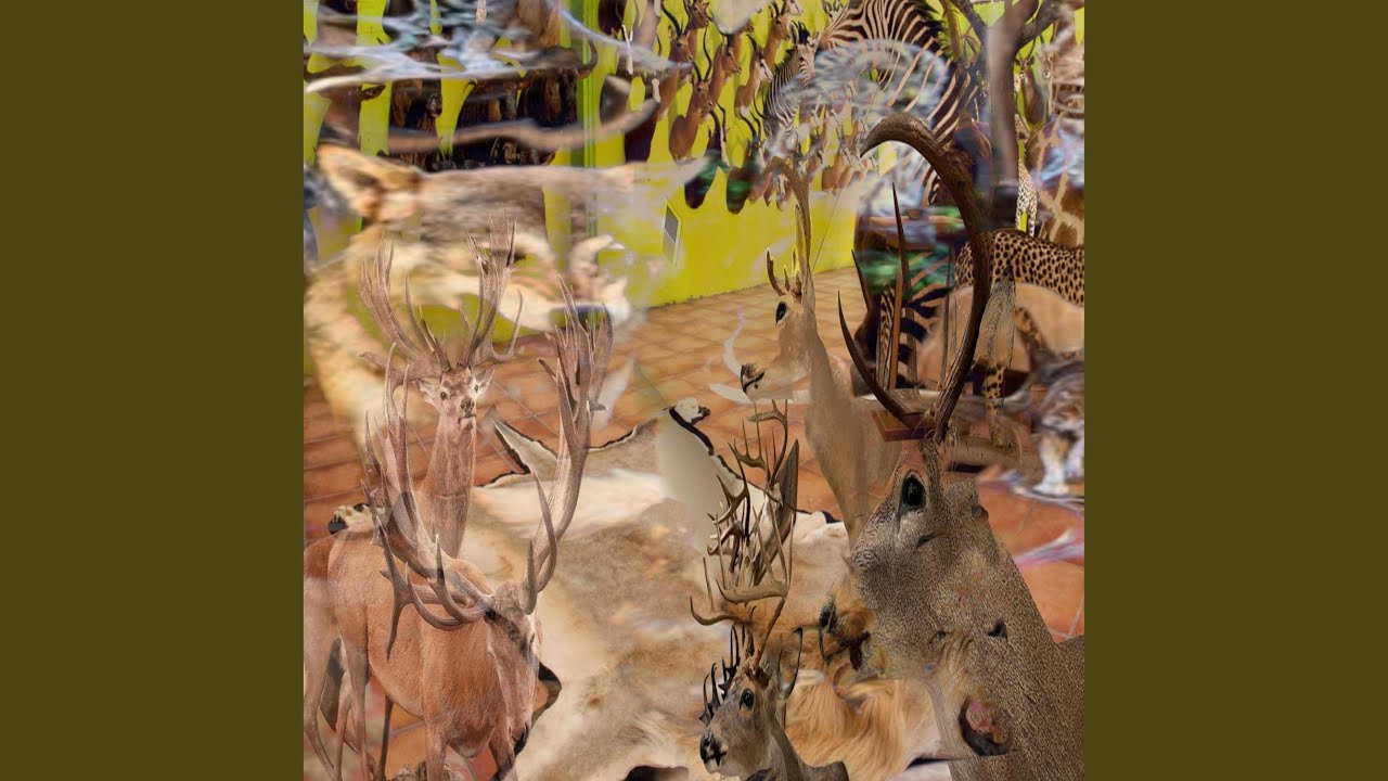 yuhh - YouTube Music