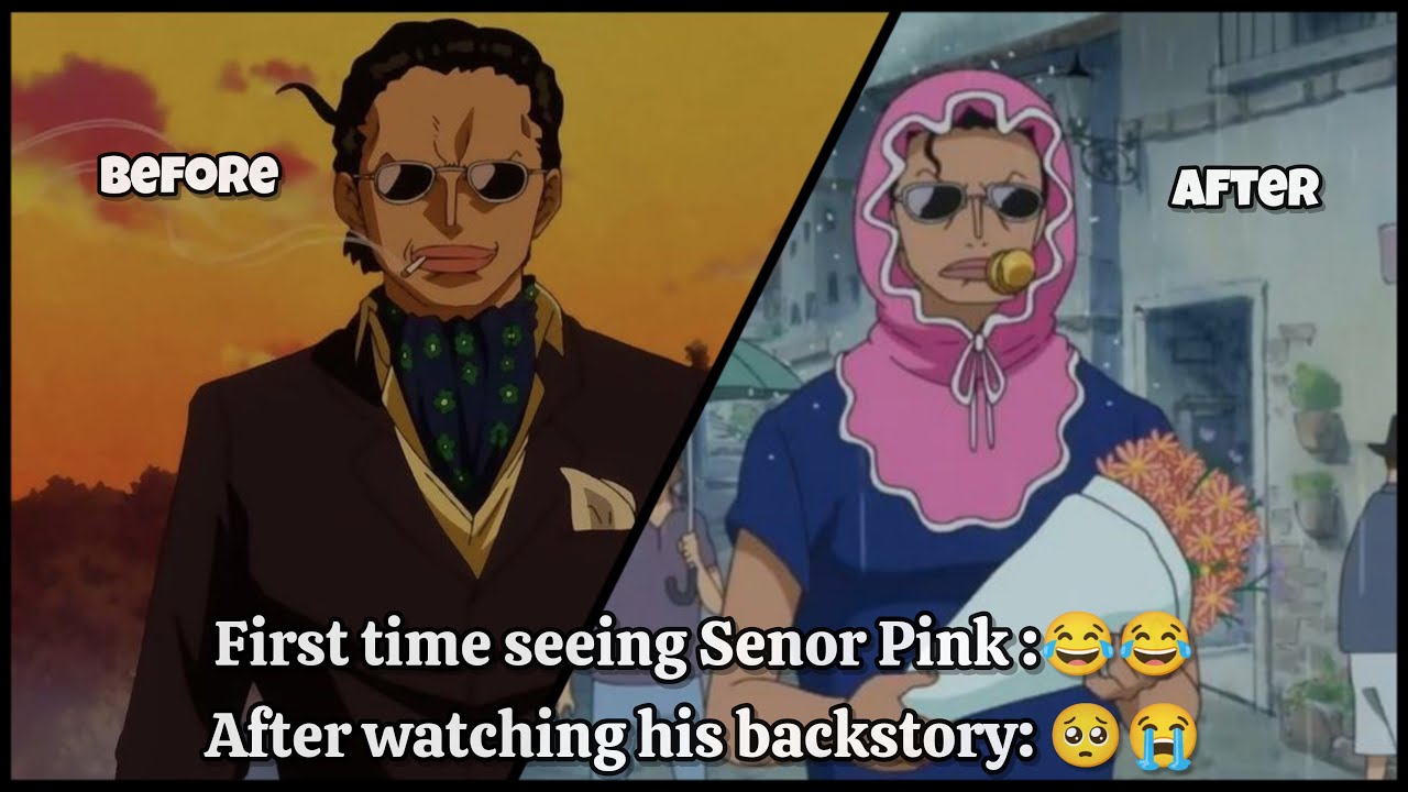 Senor Pink entire backstory in 3 minutes | One of the saddest backstory ...