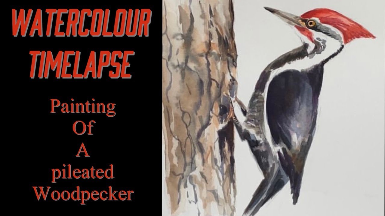 Pileated Woodpecker Painting