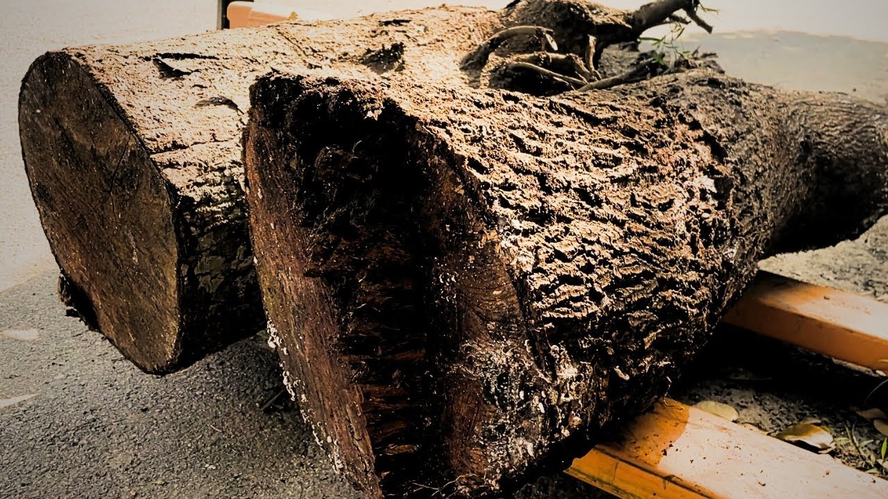 Woodworking: Crafting a Stunning Mushroom Table - Elevate Your Home ...