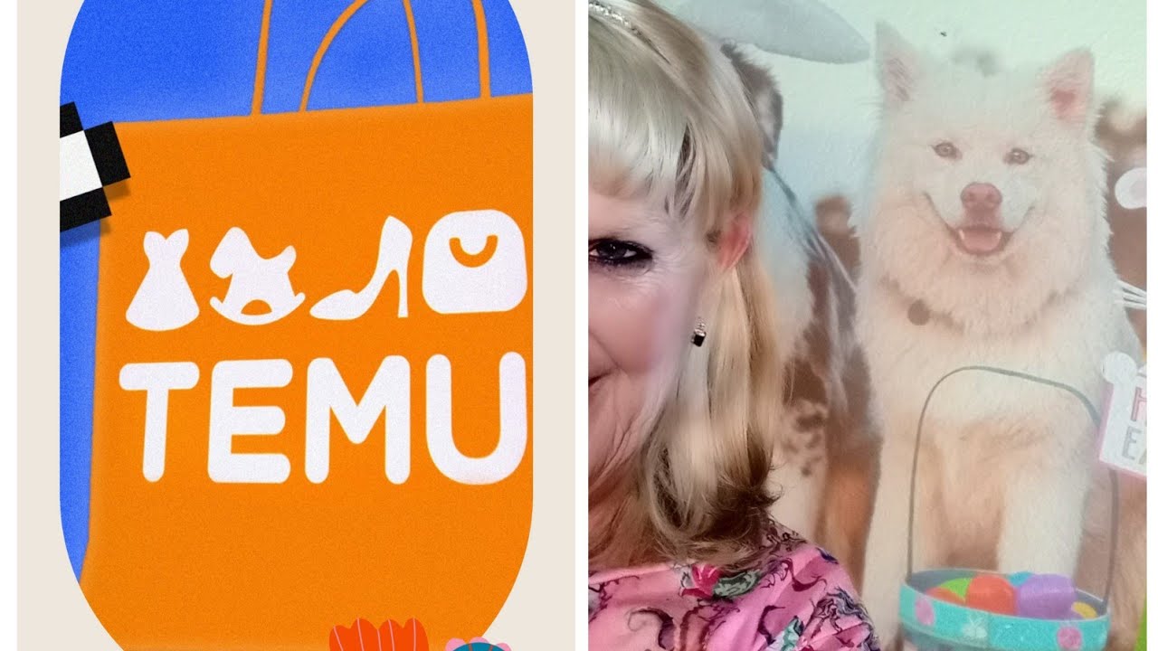 TEMU EASTER DELIGHTS TO BUY! - YouTube