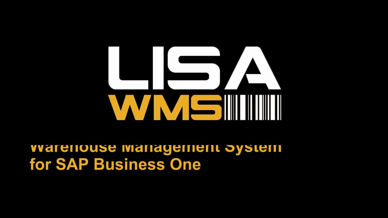 LISA WMS for SAP Business One - YouTube