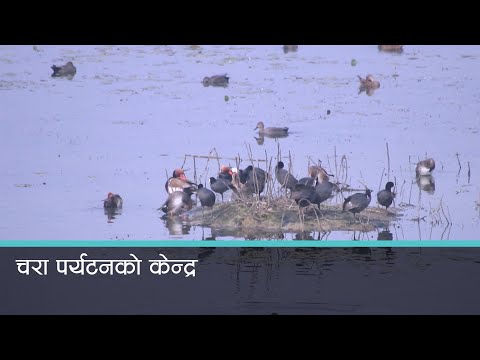 HD Live Nepali Tv Channel - Online 24/7 | Kantipur TV HD