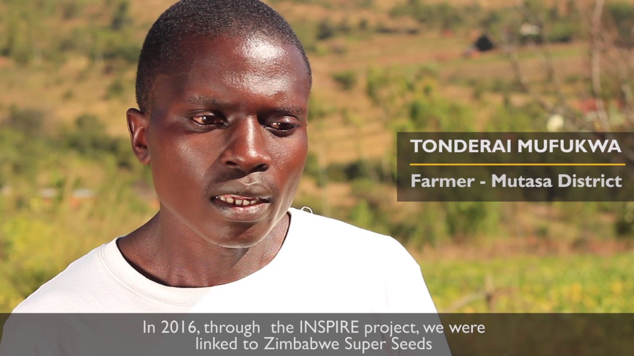 Enhancing smallholder sugar bean production in Zimbabwe - YouTube