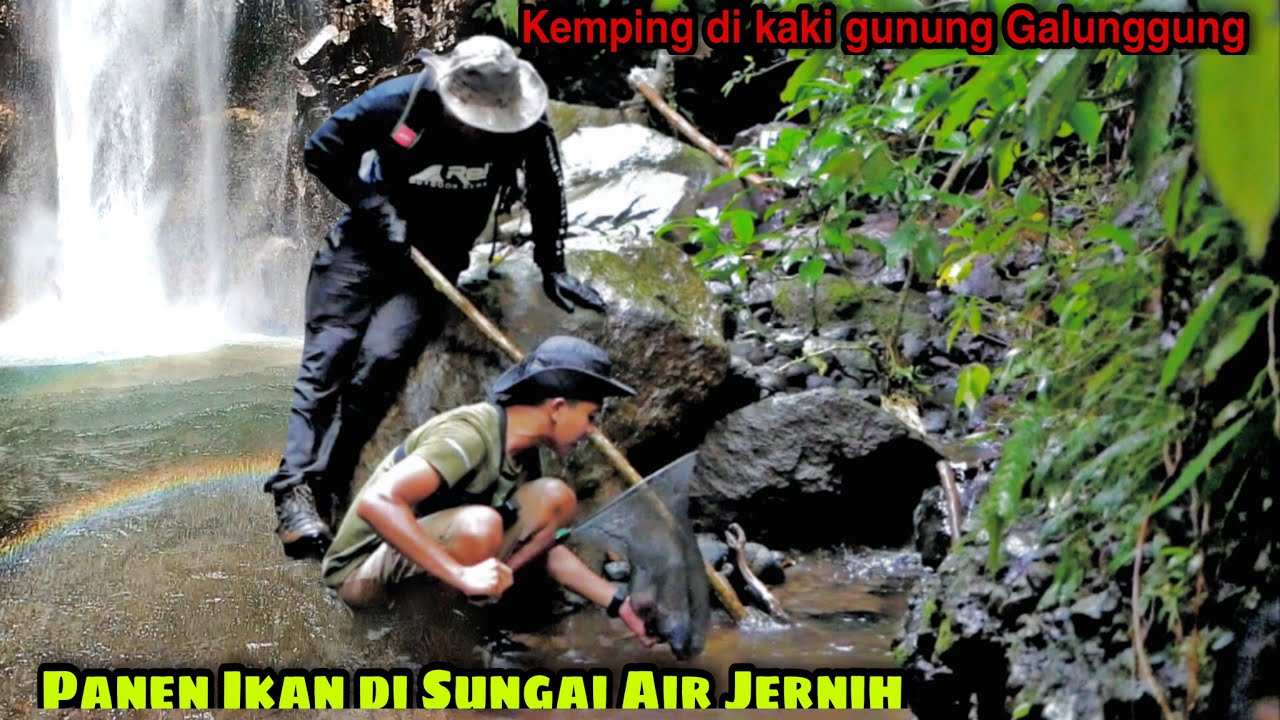 Nyeser Ikan di Sungai kaki Gunung Galunggung langsung dimasak di depan ...
