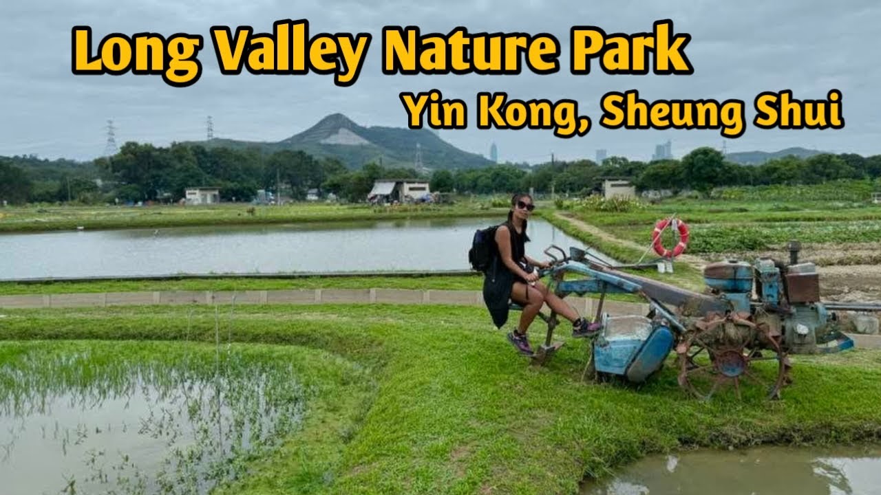 Long Valley Nature Park, Sheung Shui - YouTube