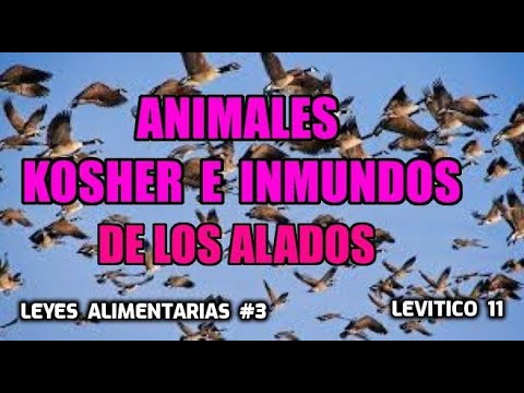 LEYES ALIMENTARIAS #3. ANIMALES ALADOS Y DE LAS AVES DEFINIDOS COMO ...
