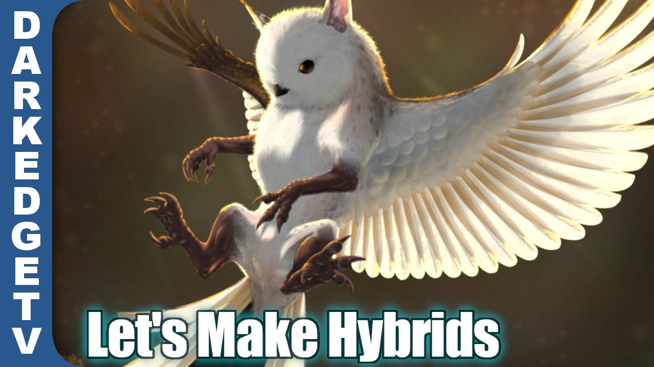 Let's Make Hybrids - #11 Cats, Birds and Griffins - YouTube