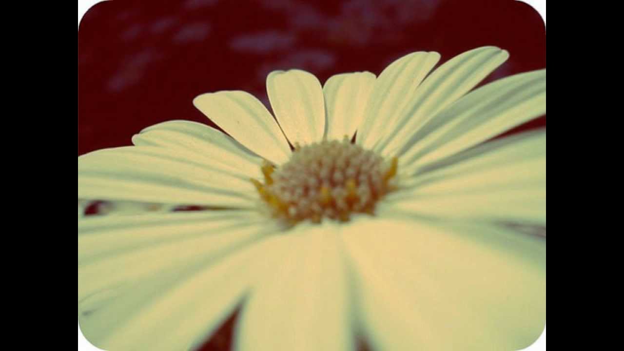 All Day - Cody Simpson - YouTube