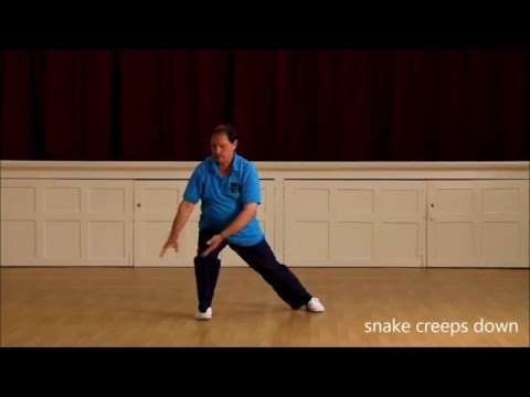 Wu Style Long Form (108)