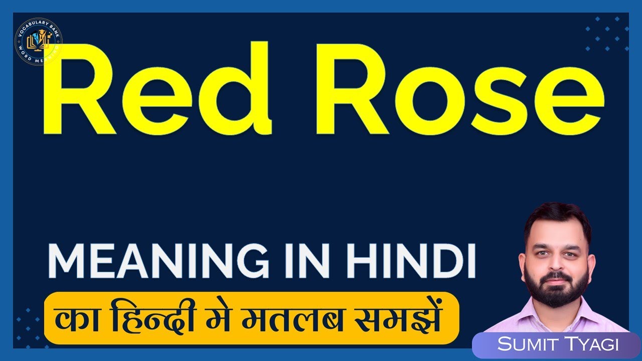 Red rose meaning in Hindi | Red rose english to hindi | Red rose ka matlab kya hota hai - YouTube