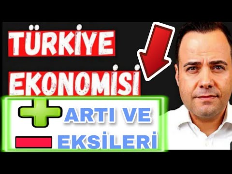 ÖZGÜR DEMİRTAŞ TÜRKİYE EKONOMİSİ ARTI VE EKSİLERİ | Özgür Demirtaş
