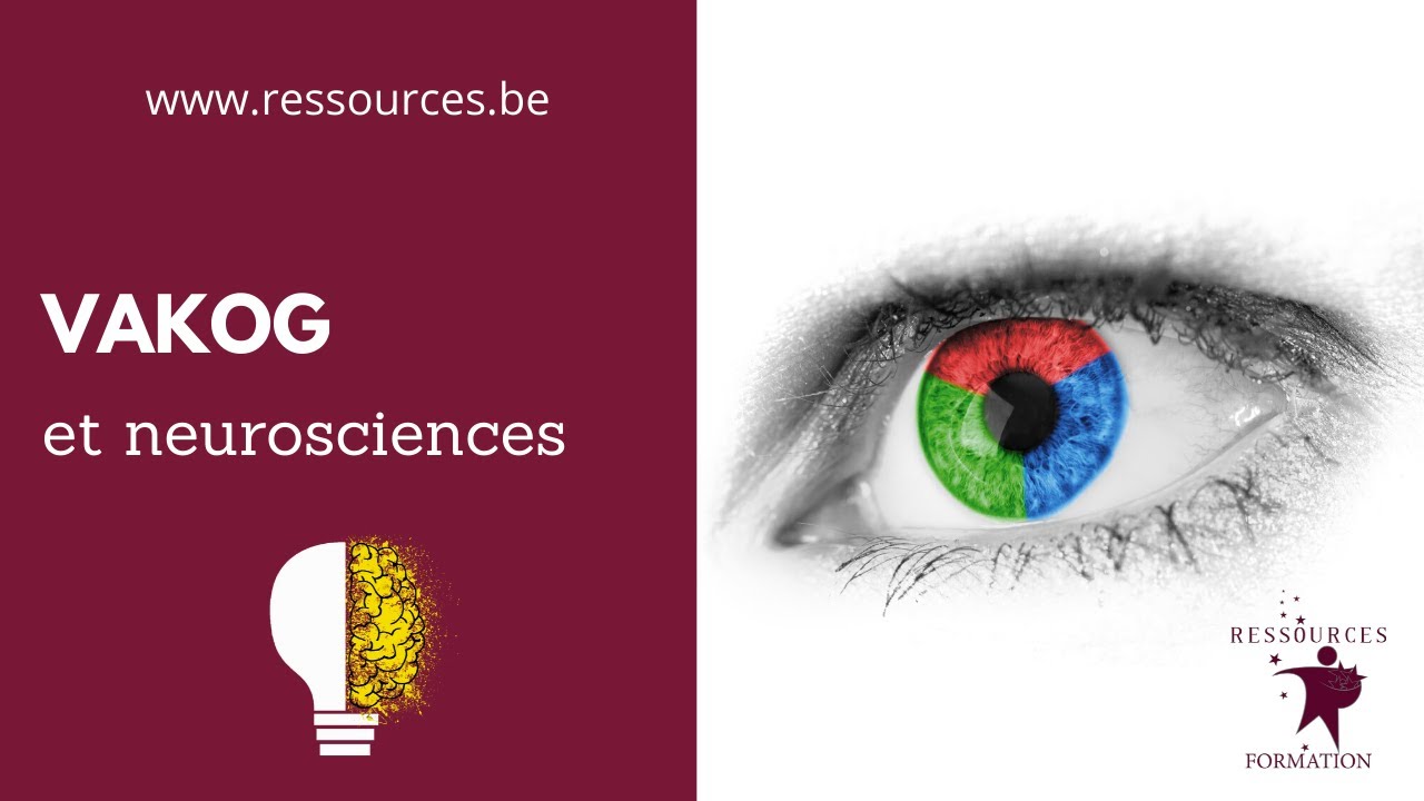 Le Vakog (PNL) et les neurosciences - YouTube