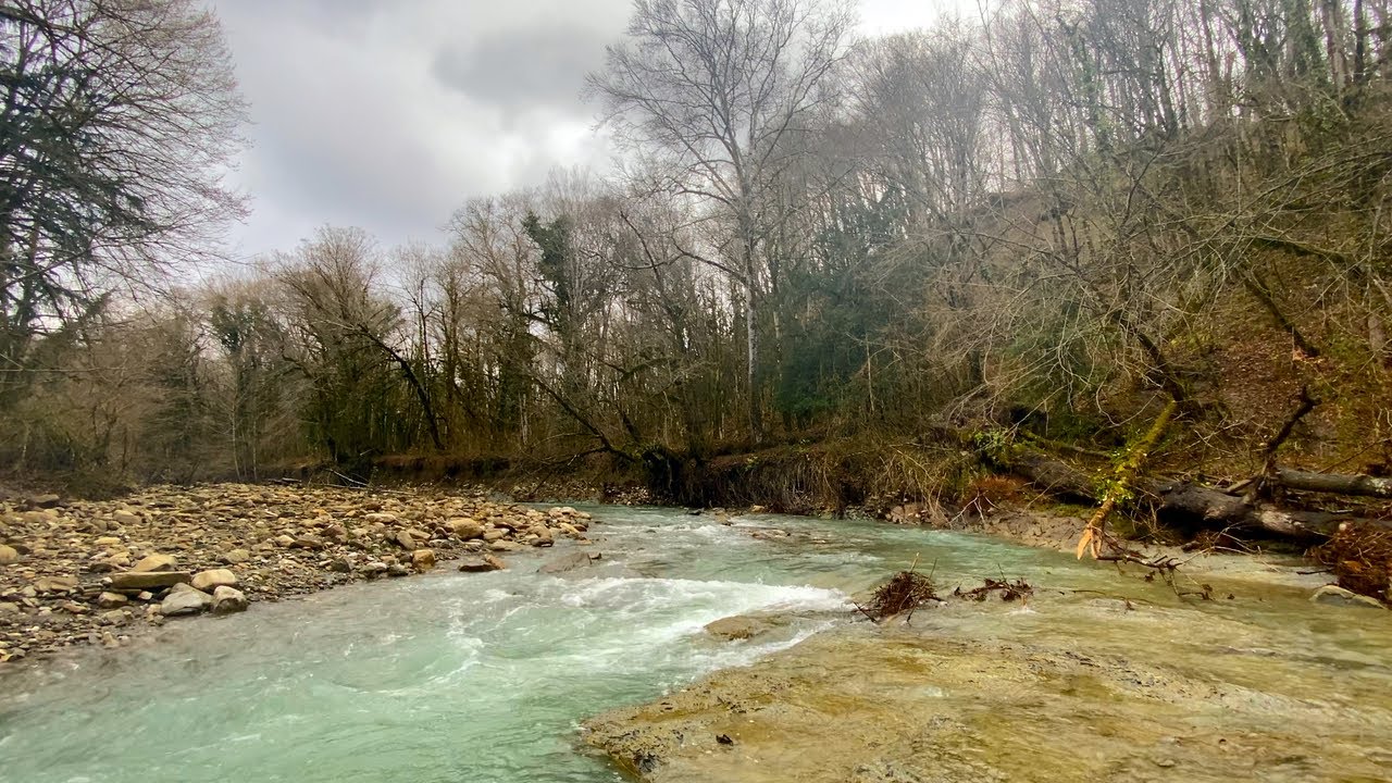Sounds of a mountain river and singing of forest birds for sleep ...
