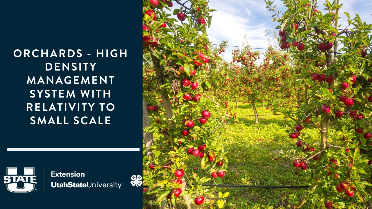 Orchards - High Density Management System with Relativity to Small ...
