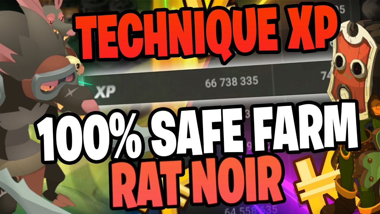 PL XP 100% SAFE SUR OMBRE ! KAMAS ET XP ! RAT NOIR ! - YouTube
