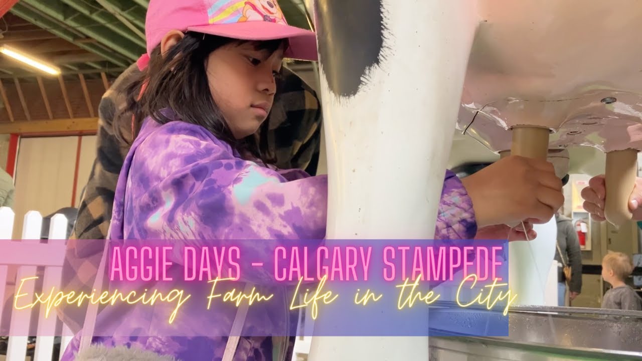 AGGIE DAYS - CALGARY STAMPEDE EXPERIENCING FARM LIFE IN THE CITY - YouTube