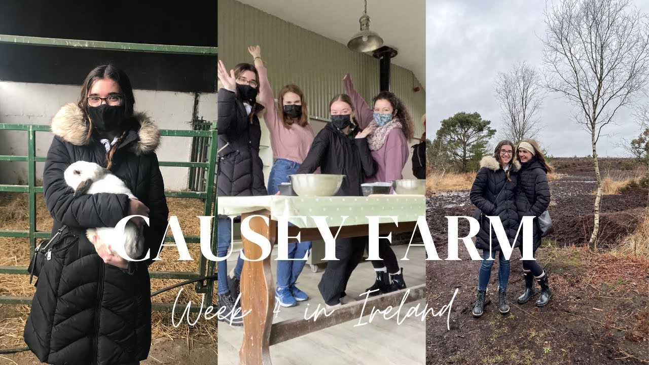 Week 4 in Ireland | Causey Farm, Girley Bog, and The Academy! - YouTube