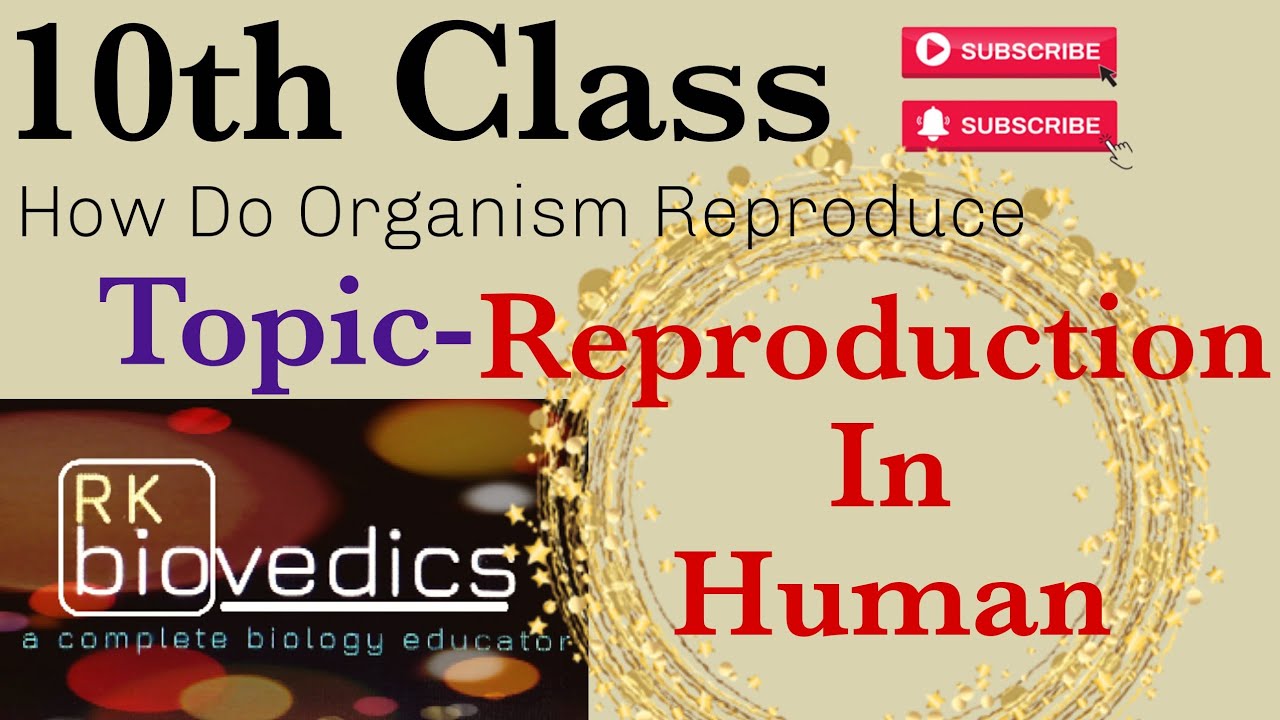 Reproduction in human 10th class- how do organism reproduce,CBSC - YouTube
