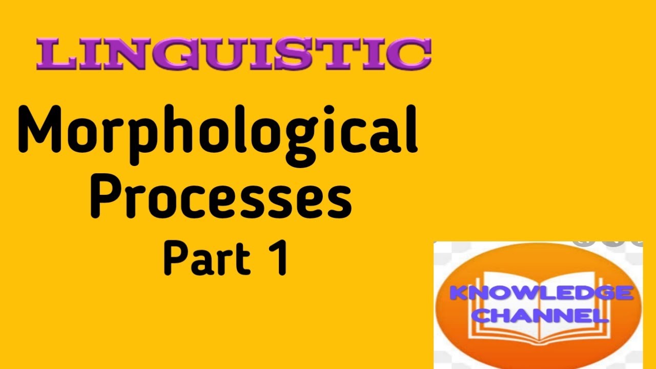 LINGUISTICS -MORPHOLOGICAL PROCESSES PART-1 - YouTube