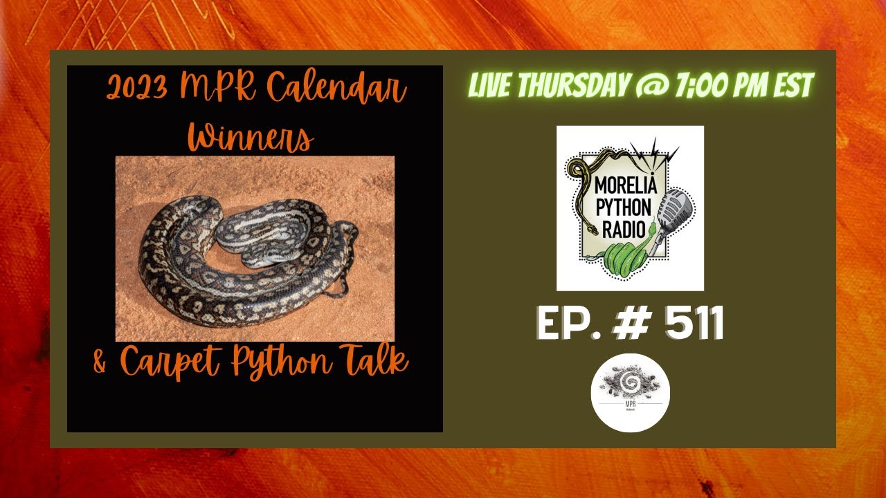 2023 MPR Calendar Contest Winners & Carpet Python talk - YouTube