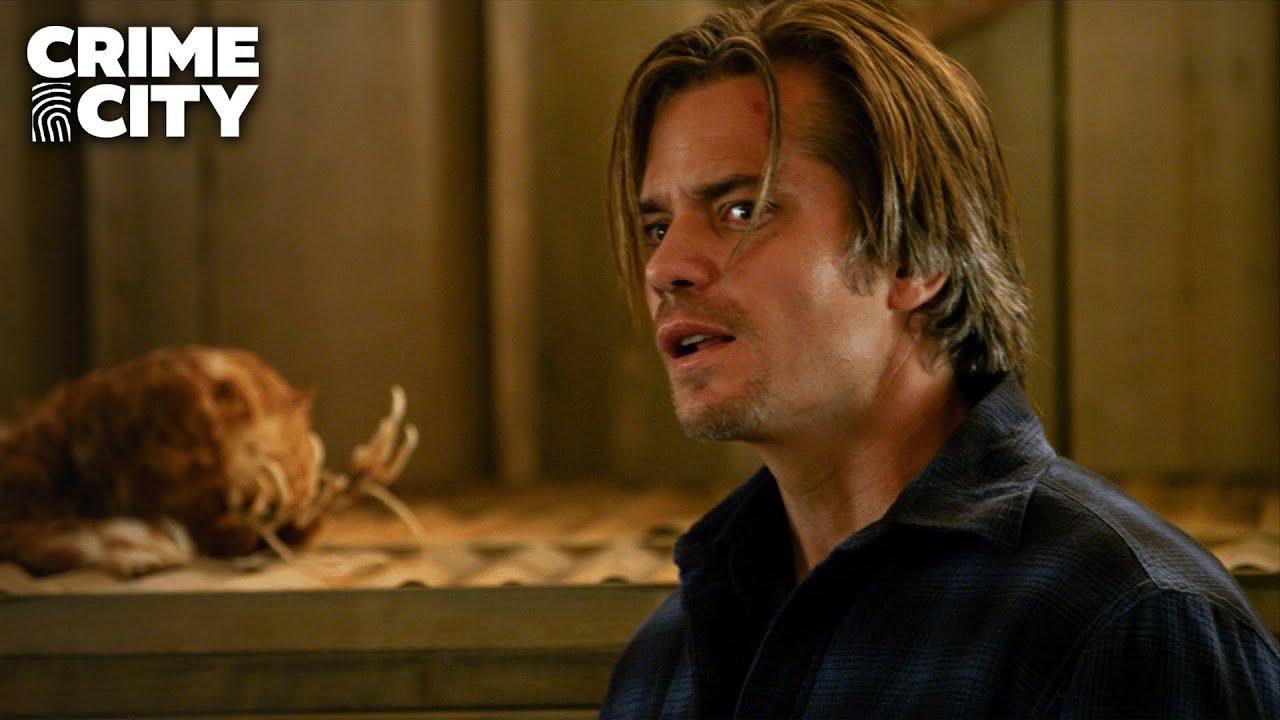Raylan and Boyd Fight Back Against the Hill People | Justified (Timothy ...