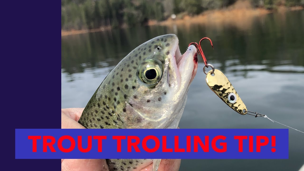 Trout Trolling Tip For More Fish! - YouTube