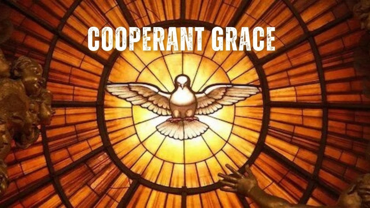 Cooperant Grace | Cooperate with The Holy Spirit to Experience Grace ...