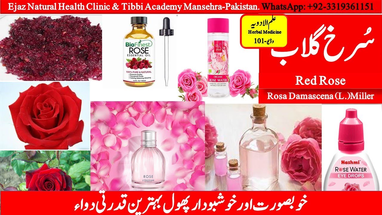 Benefits of Red Rose/Surkh Gulab k Fayedy/Natural Medicine Video 101 ...