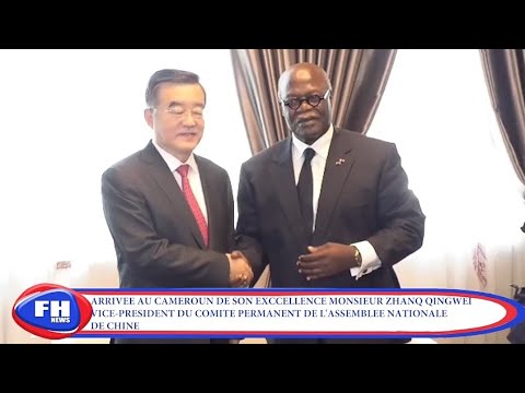 Arrivée au Cameroun de S.E ZHANG QINGWEI,vice-présidente de CPAPR de ...