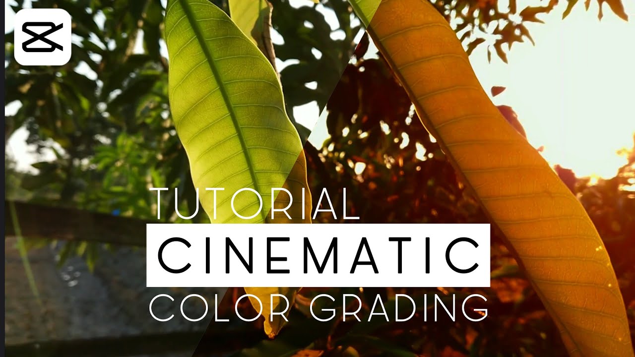 Edit Video Cinematic Alam di Capcut | Tutorial Color Grading Capcut ...