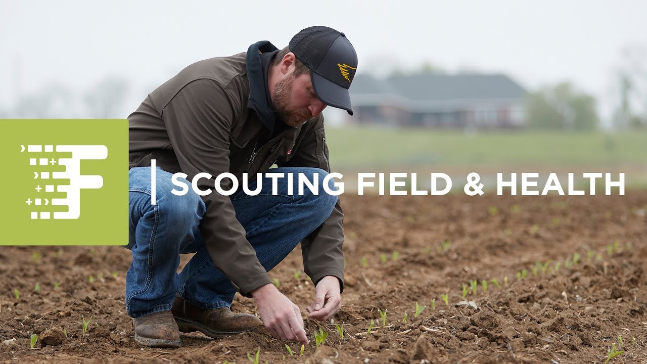 Climate FieldView™ for Planting: Scouting Field Health - YouTube