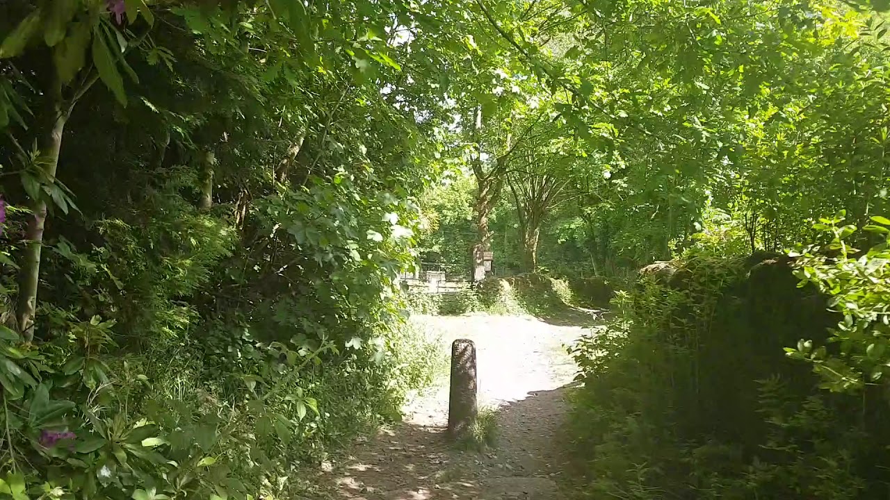 A walk around rudyard lake part 3 - YouTube