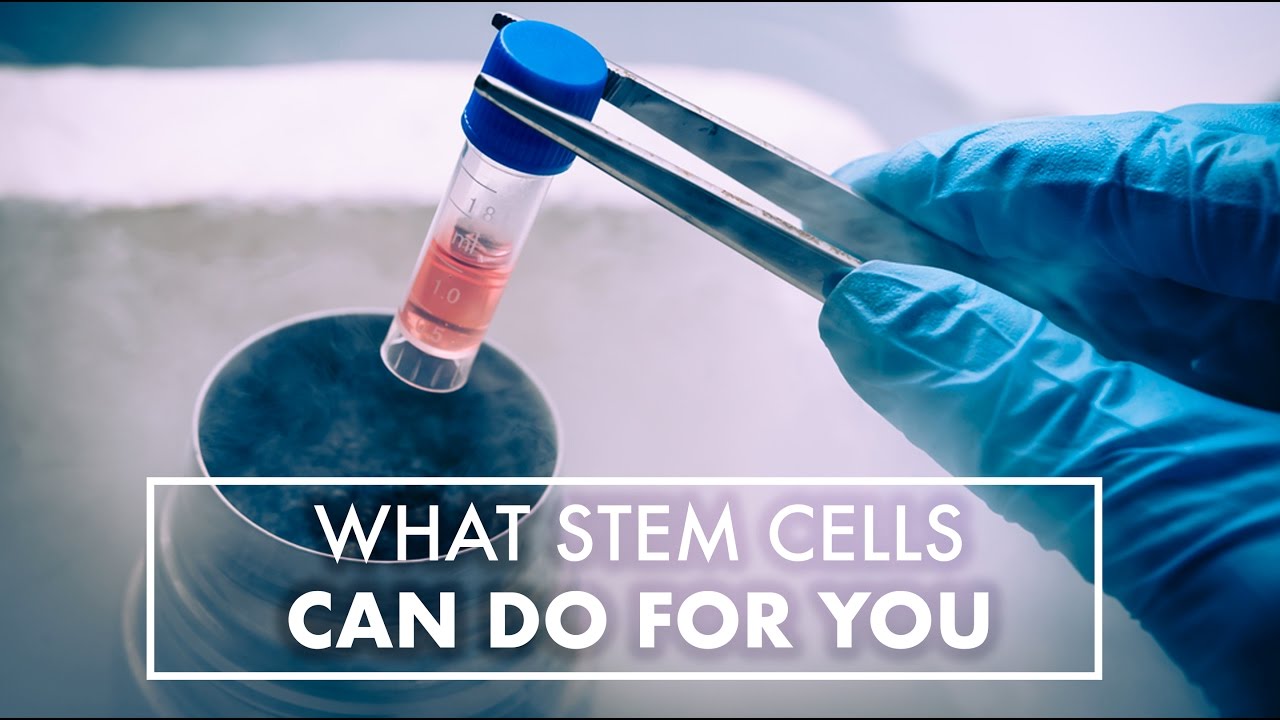What Stem Cells Can Do For You | Dr. Joseph Cleaver | Top10MD - YouTube