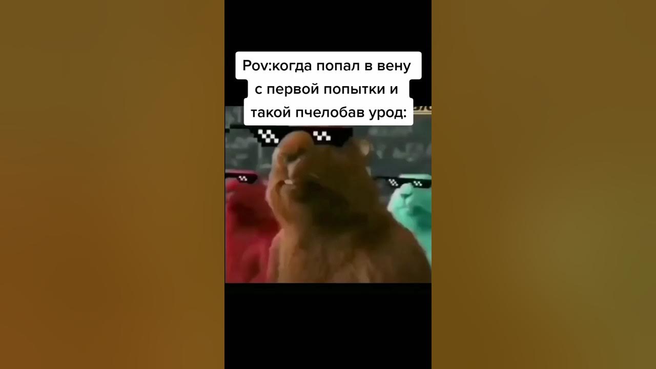 Когда попал в вену с первого раза кринж рофл пчелобав хайп флекс мем