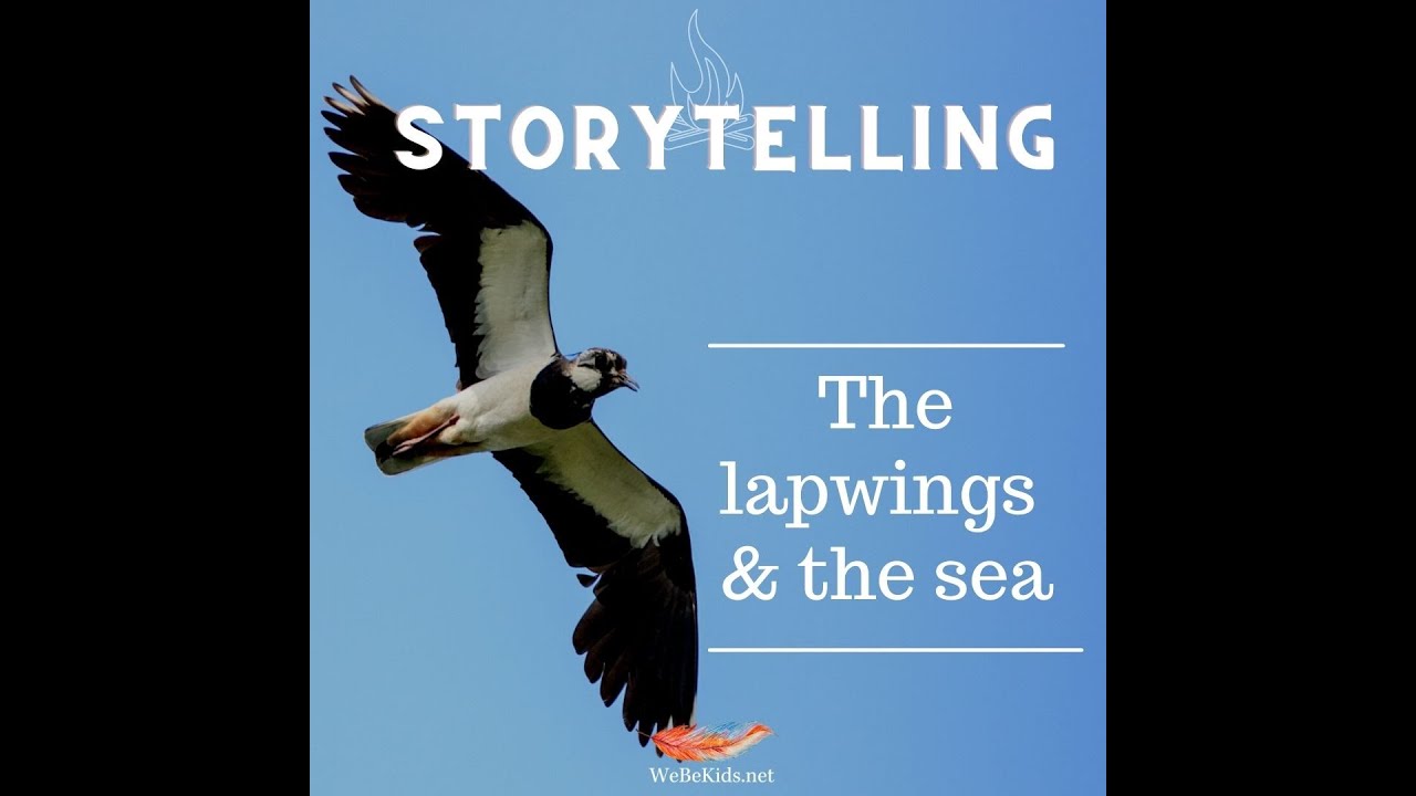 Storytelling- The lapwings and the sea | We Be Kids