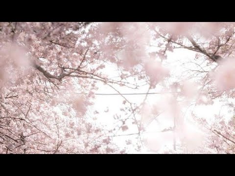 Spring incarnate - YouTube