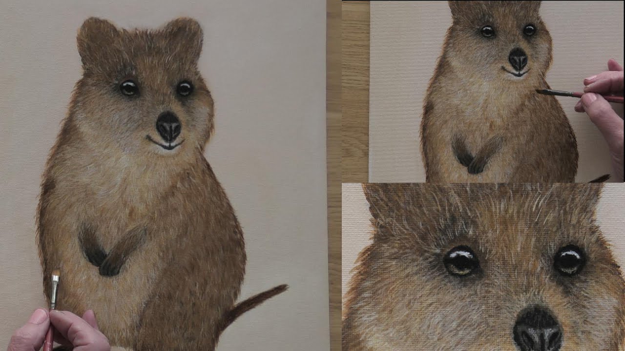 How to Paint a Quokka. Acrylic Painting Tutorial using Glazing ...