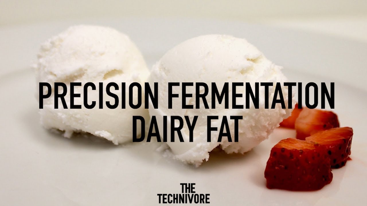 Yali Bio Reveals Precision Fermentation Dairy Fat - YouTube